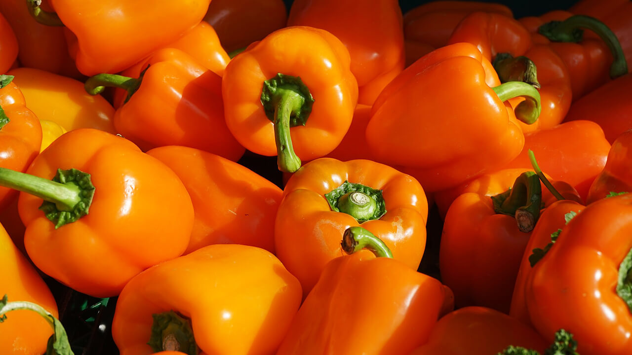 Málaga Natural - Pimiento californía naranja